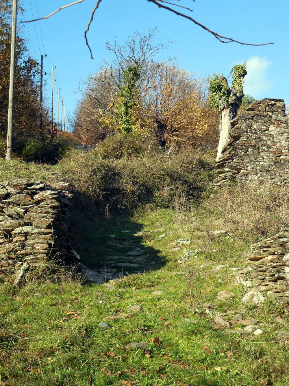 Chemin rural du Salzet – Malons et Elze